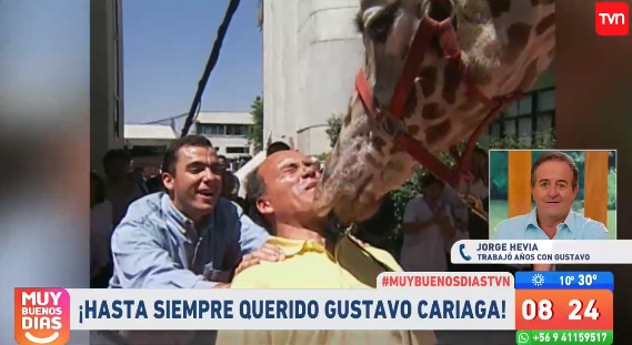 ¿Cómo nacieron los entrañables personajes de Gustavo Cariaga? Sus ...