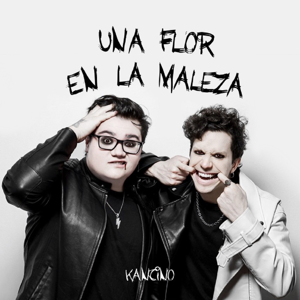 Alonso Quintero presentó nuevo proyecto musical con llamativo look