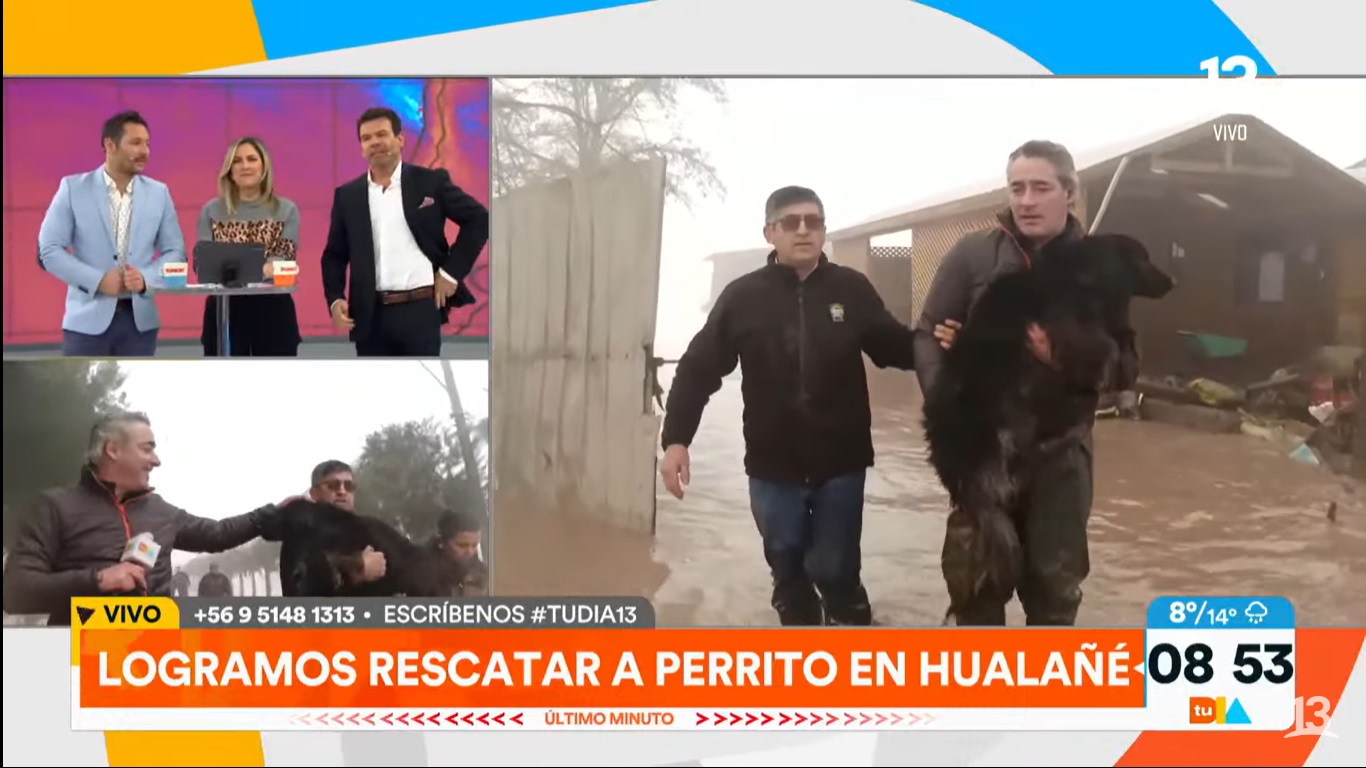 José Luis Repenning rescató a perro en inundaciones en Hualañé: "Está ...