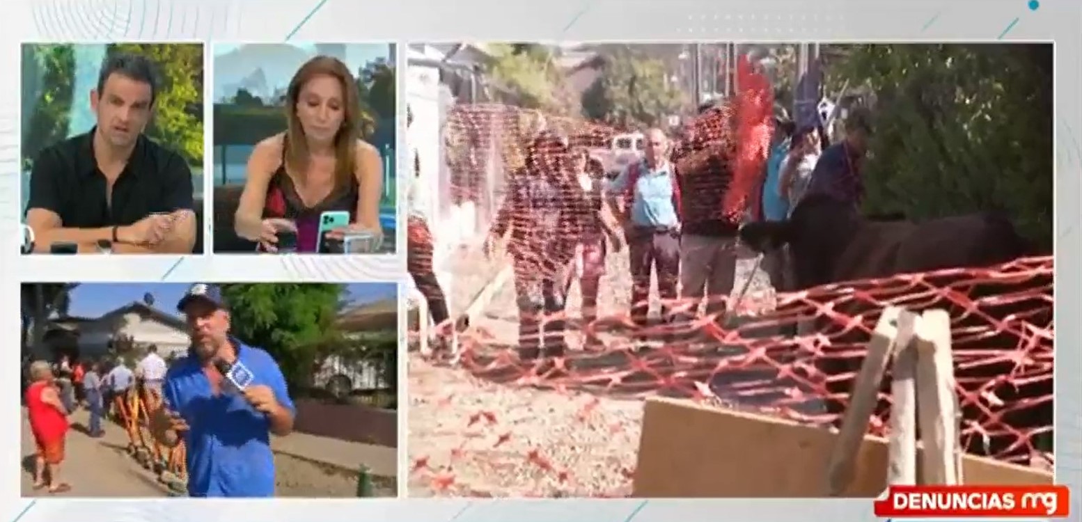 La molestia de José Antonio Neme por novillo suelto en Estación Central ...