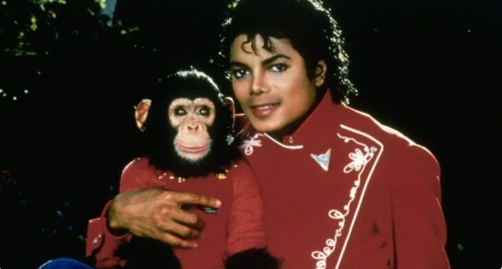 Qué fue de Bubbles, el famoso mono de Michael Jackson: ya tiene 41 años
