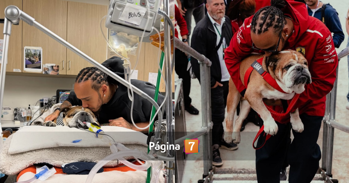 Lewis Hamilton despidió a su perro Roscoe: “Un ángel y un verdadero amigo”