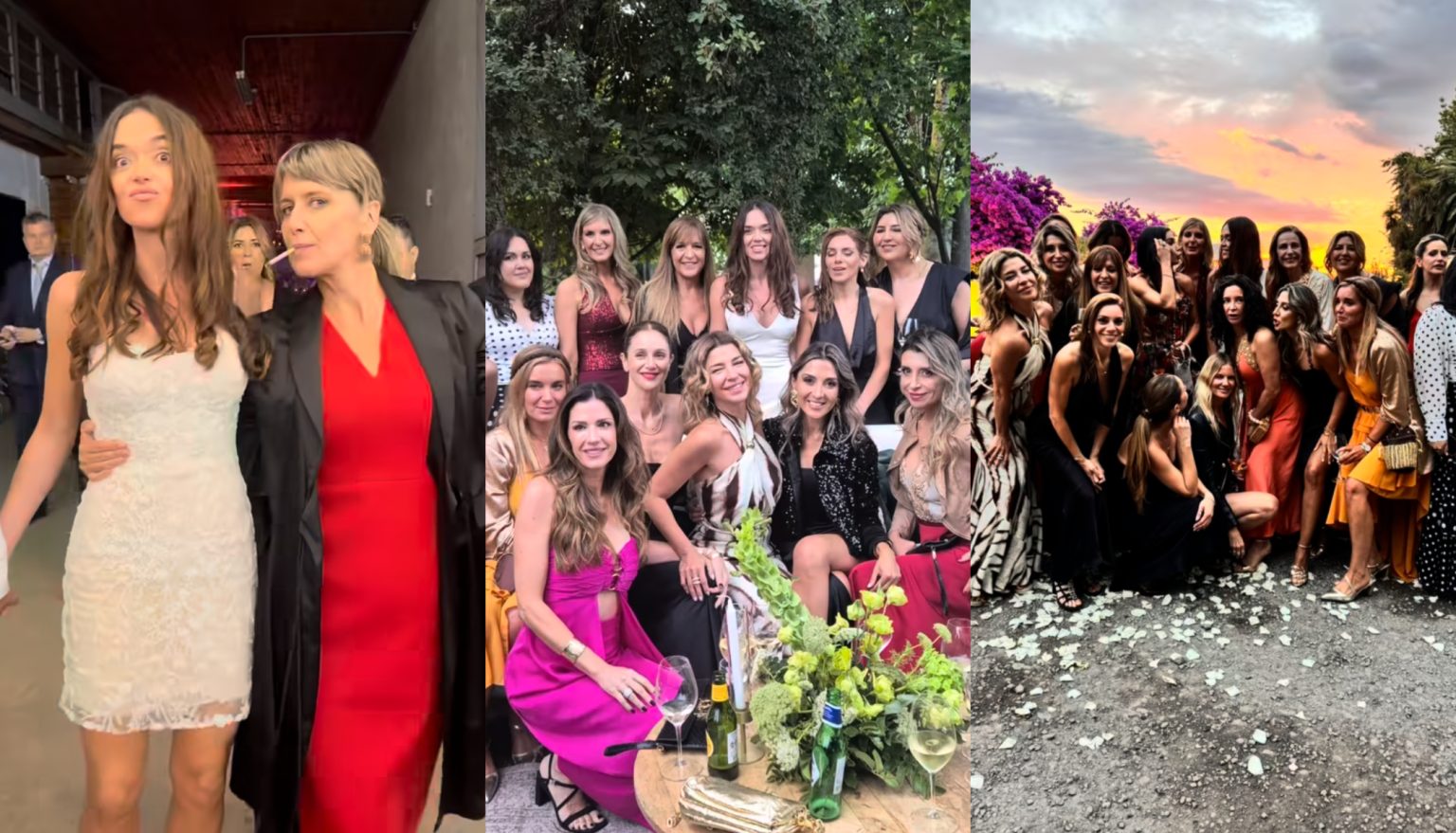 Con exclusivos invitados: así fue el íntimo matrimonio del senador ...