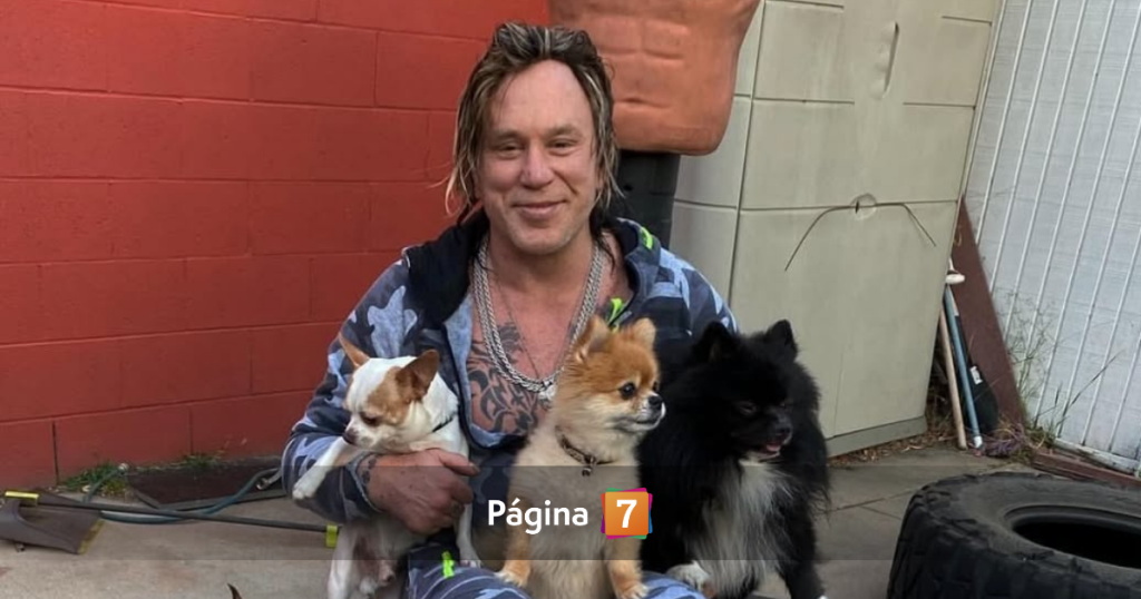 Mickey Rourke inició colecta para evitar ser desalojado: “el talento no ...